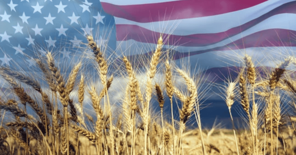 Tools for Protecting Your Rights - America Out Loud News