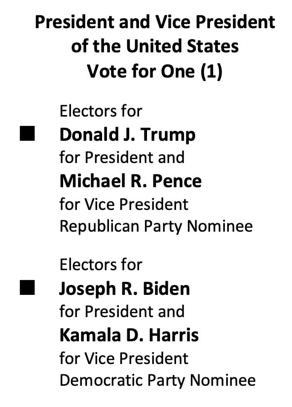 Fraudulent Presidential Election Ballots Leads To Massive Voter ...