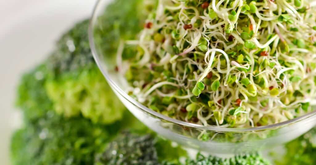The science behind sprouts that can revolutionize your diet - America ...