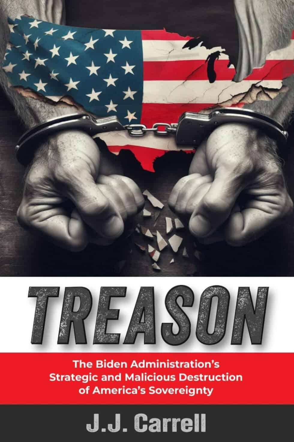 TREASON: The Biden Administration's Strategic and Malicious Destruction of America's Sovereignty ...