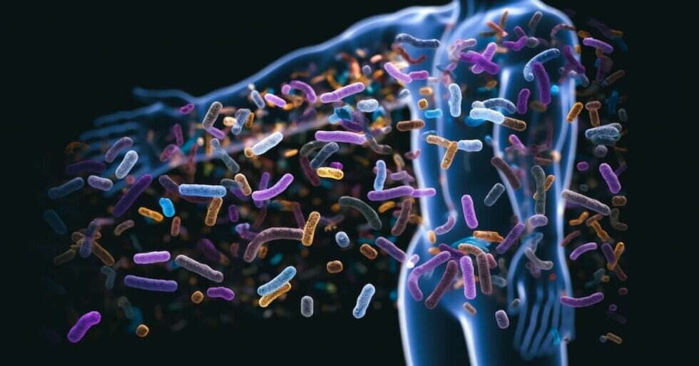 Getting your microbiome in balance, so your body thrives - America Out ...
